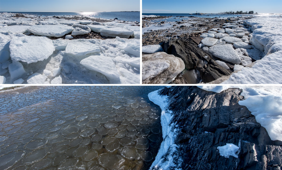 A promenade by the coast › Way up north