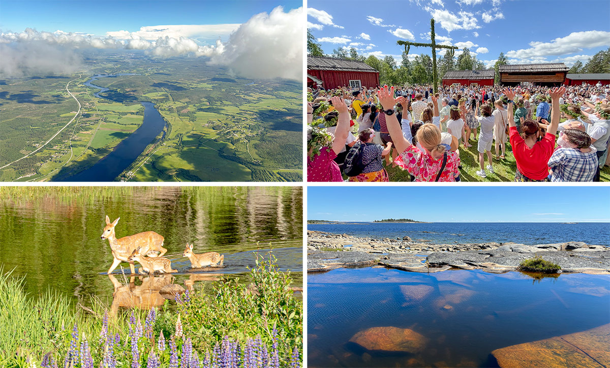 Three weeks in Sweden – some photos › Way up north