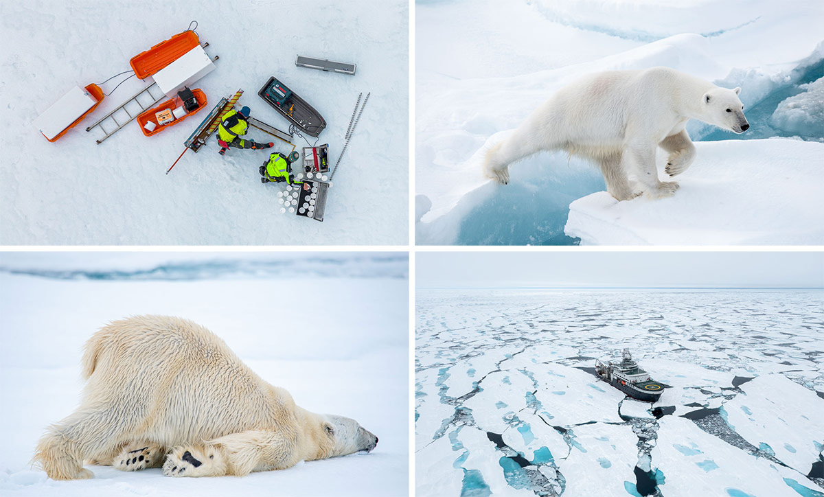 Ice station one and polar bears › Way up north